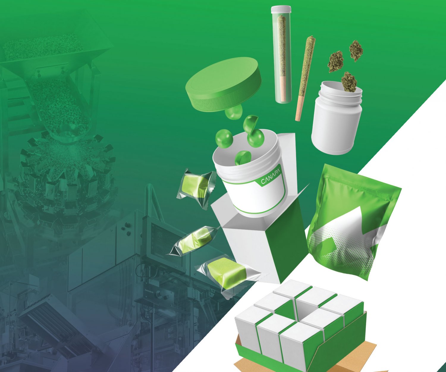 Read Our Blog | Canapa Information & Updates