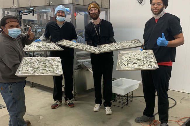 Automated Pre-Roll Packaging | Cone Filling Machine