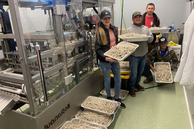 Automated Pre-Roll Packaging | Cone Filling Machine