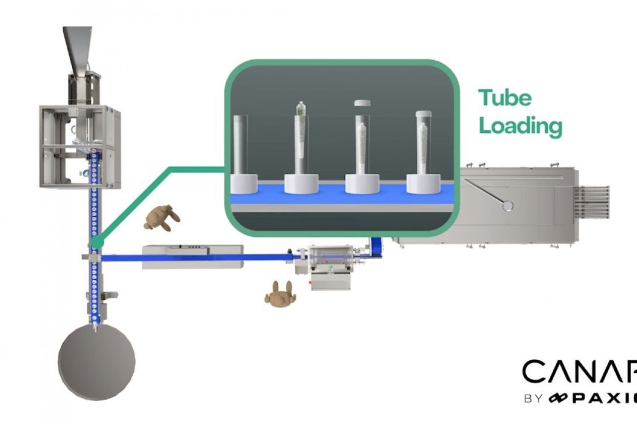 Pre-Roll Tube Loading Machine | Canapa Solutions