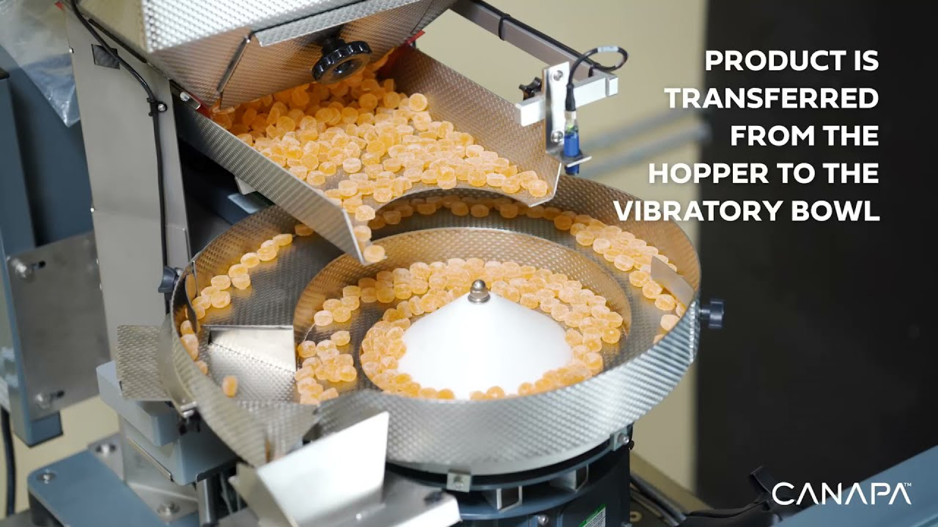 Bagging - Canapa Solutions