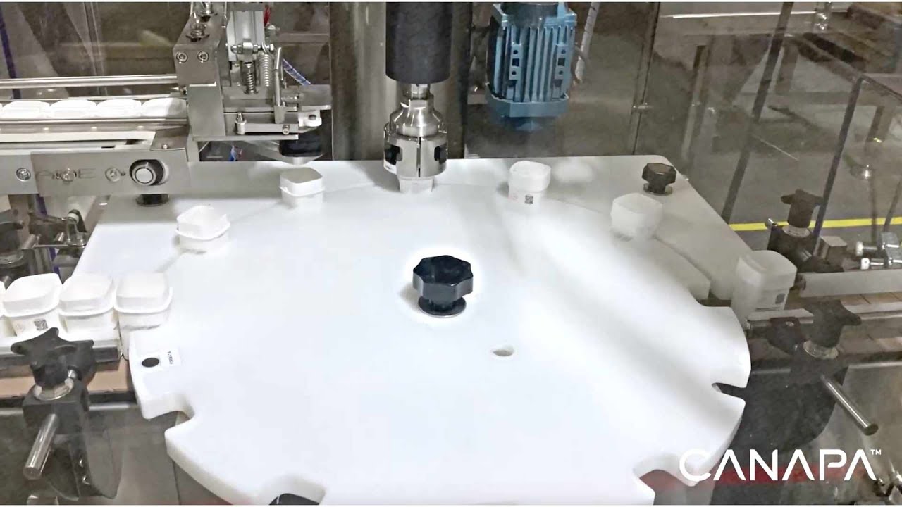 Filling and Capping Calyx Container with Square Openings - Canapa Solutions