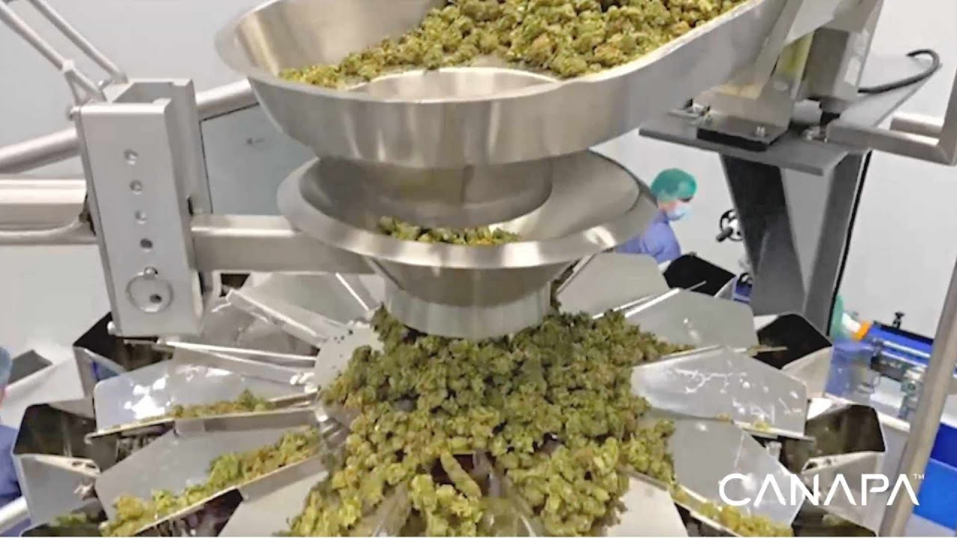 Bagging - Canapa Solutions