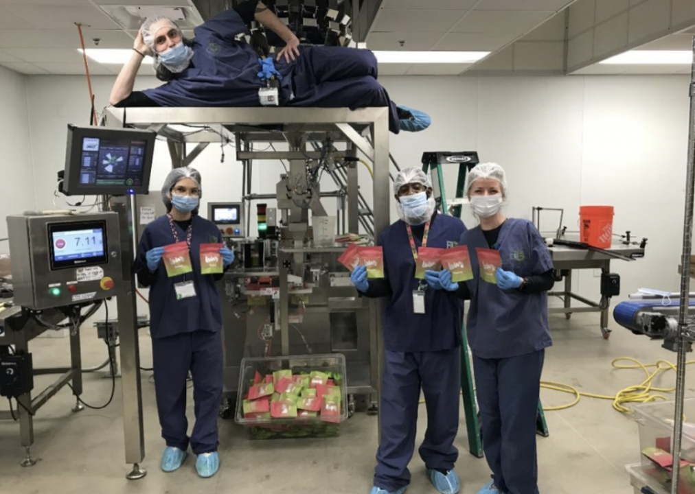 Bagging - Canapa Solutions